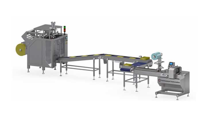 Pouch Into Flow Wrap, Technosamrt Automation Pvt. Ltd., Pune